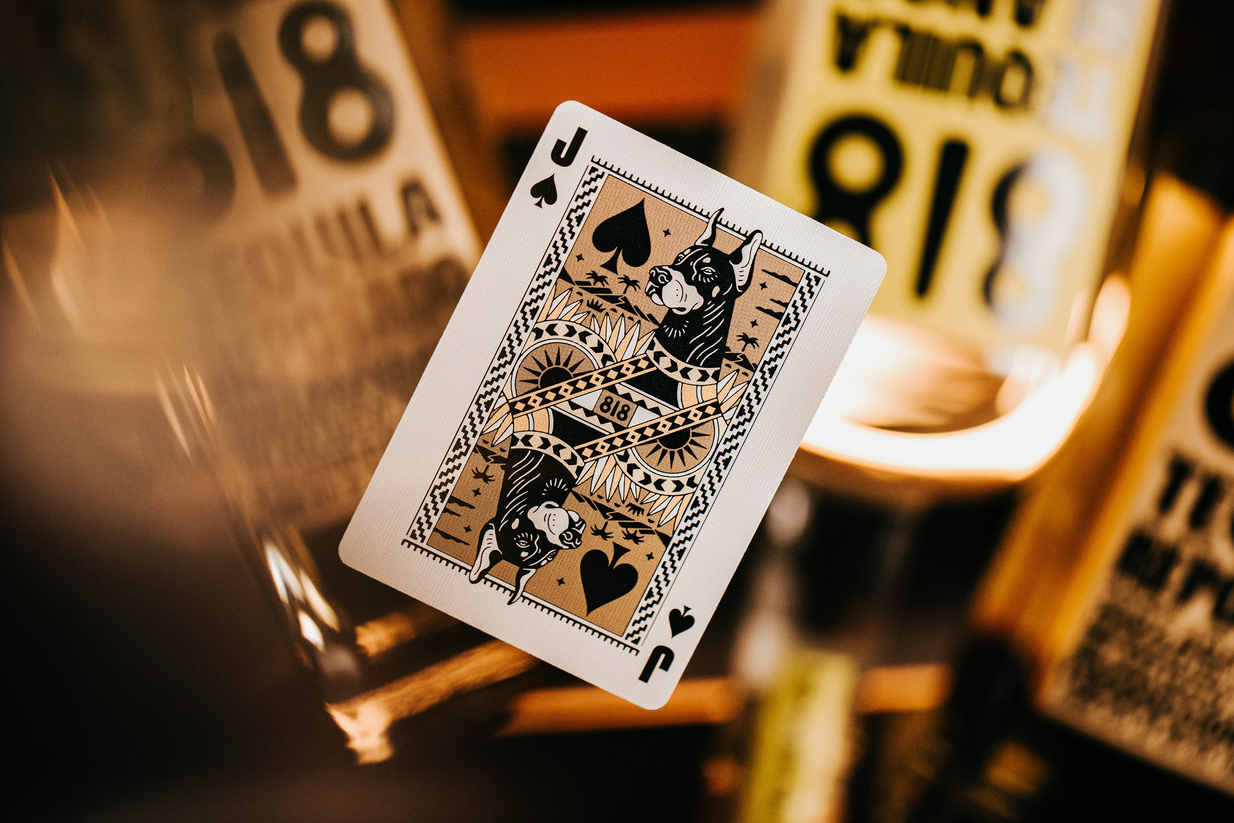 818 Playing Cards | theory11